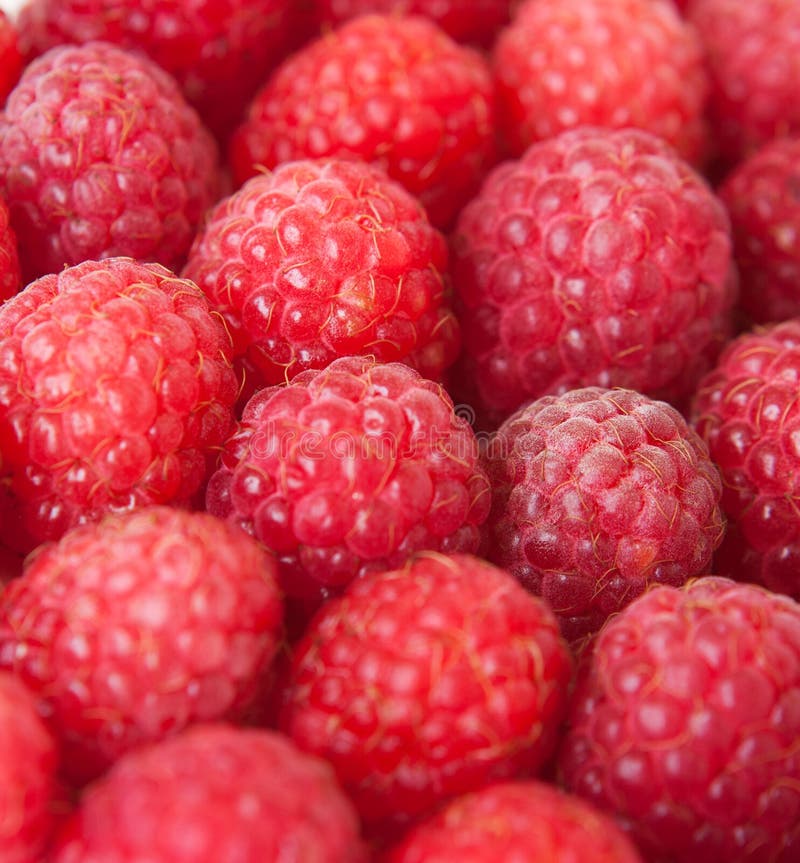 Large Juicy Raspberries, Tightly Packed. Fruit Background Stock Photo ...