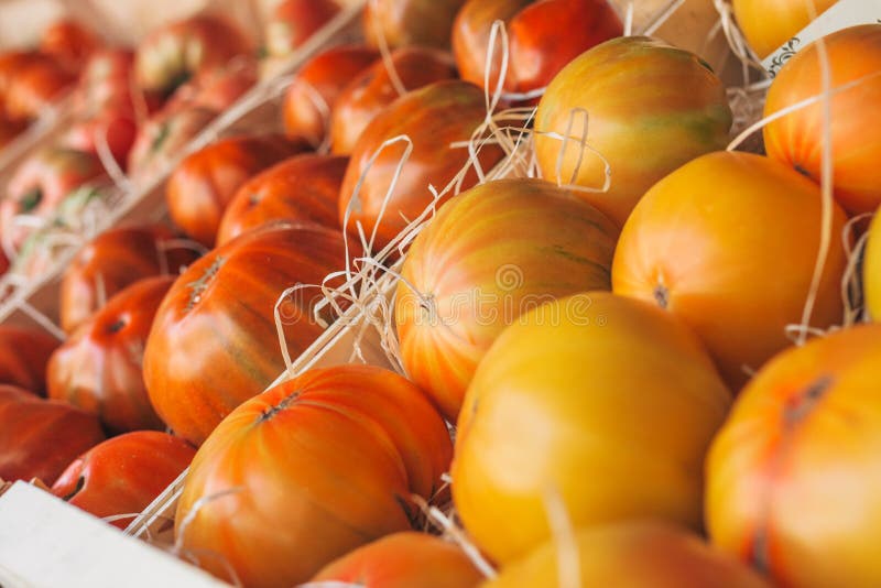 Juicy Tomatoes in a Box on the Market Stock Image - Image of fresh ...