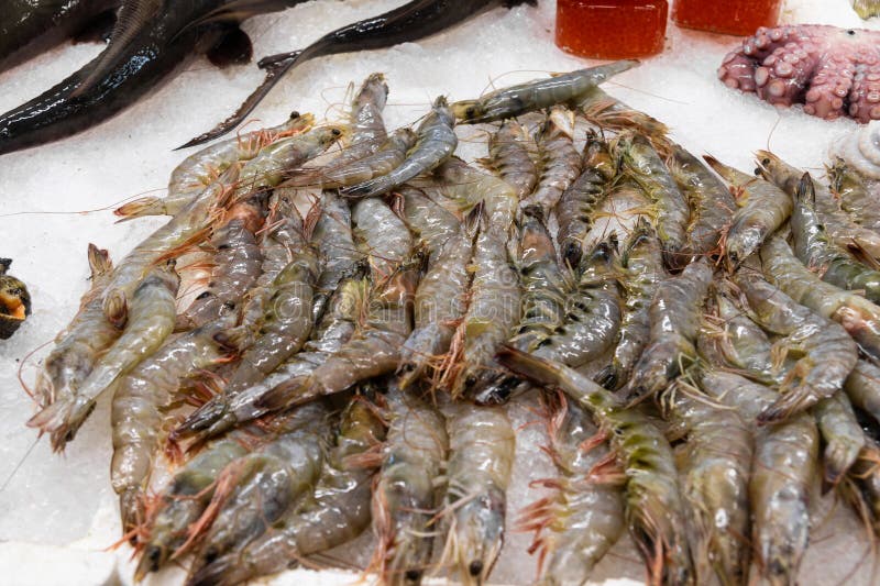 Large King Prawn on a Fish Market Counter Stock Image - Image of market ...