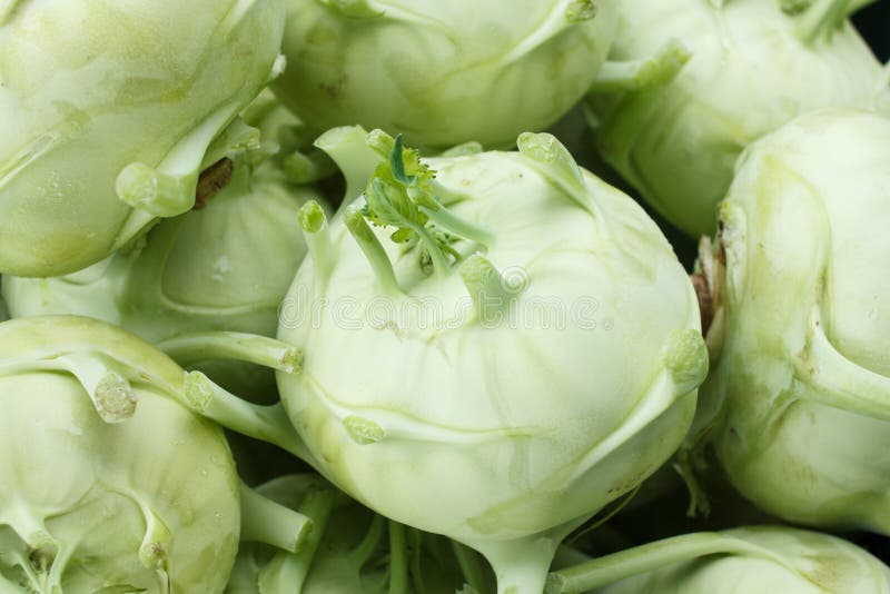 Large Kohlrabi (German Turnip) Isolated on White Background Stock Image ...