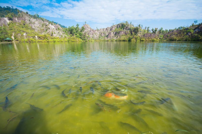 Large Lagoons with Fish and Mountain Stock Image - Image of lagoon ...