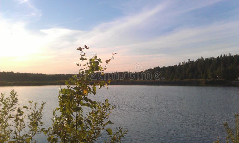 Large Lake Behind the Trees in the Forest Stock Image - Image of cloud ...