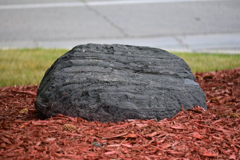 Large Landscape Rock Covered in Red Mulch Stock Photo - Image of leaf ...
