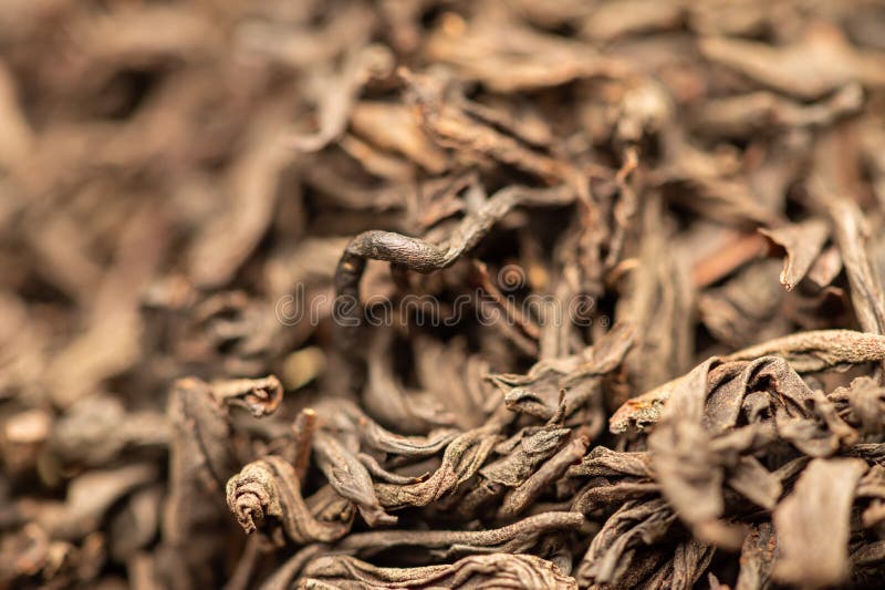 Large-leaved Black Tea in Bulk on the Table. Close-up of the Surface ...