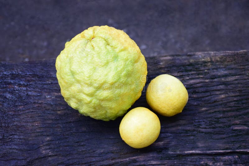 A Large Lemon and a Small Yellow Lemon Stock Photo - Image of juice ...
