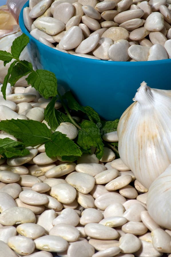 Large Lima Beans stock image. Image of legume, food, lima - 21523353