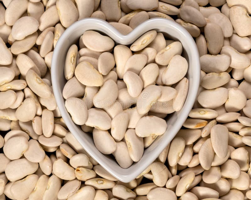 Large lima beans stock image. Image of healthy, large - 17329555