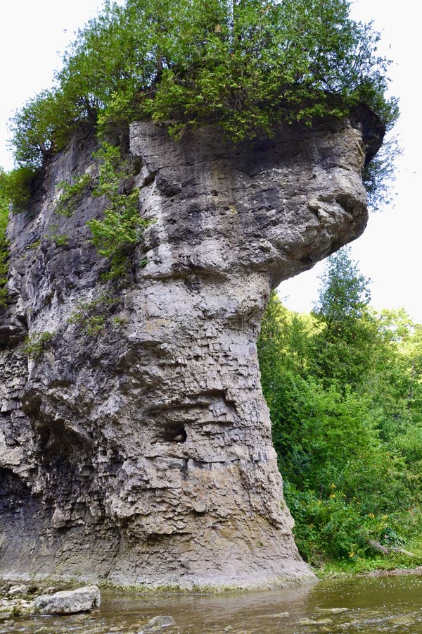 Large Limestone Cliff Viewed from the Base of the Elora Gorge Stock ...