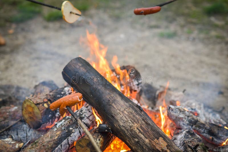 Log on the Fire stock photo. Image of detail, burning - 116396798