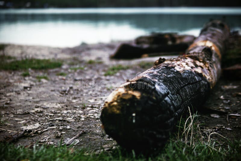 A Large Log Lies on the Shore. Burning Fire on the Beach. Beach ...