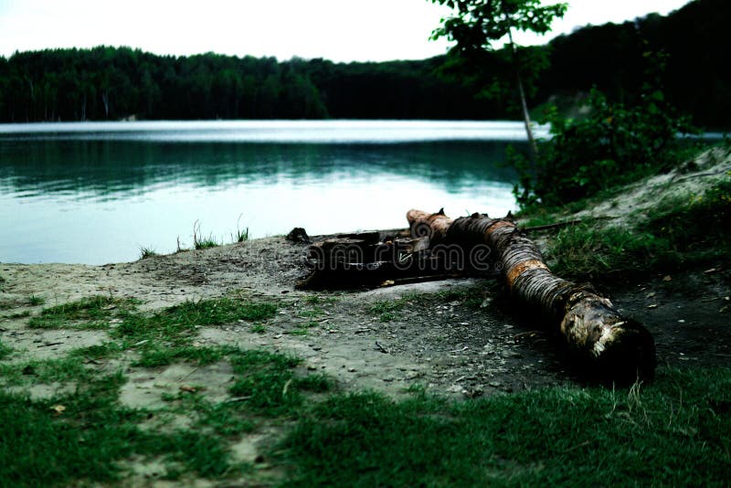A Large Log Lies on the Shore. Burning Fire on the Beach. Beach ...