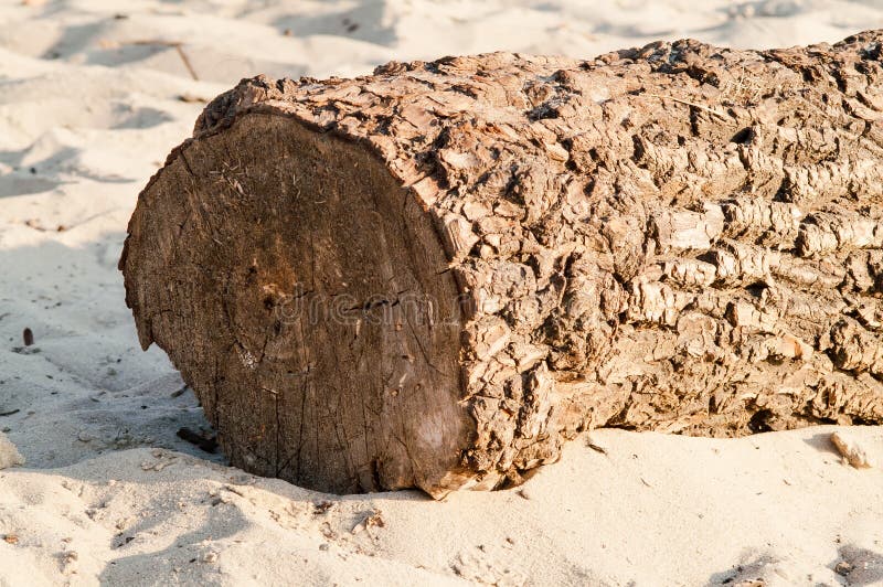 Large Log Lying on the Sand Stock Image - Image of ship, cathedral ...