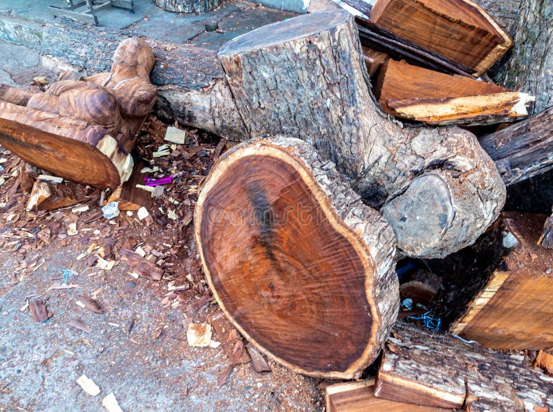 The Large Logs Were Cut into Pieces Prepared for Carving Stock Image ...