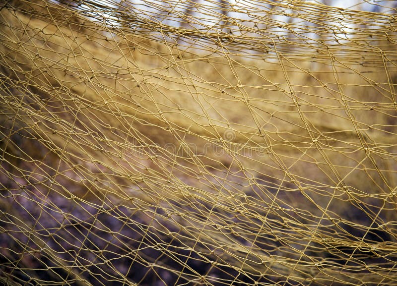 Nets for Catching Wild Animals in the Forest. Trapping Game Animals ...