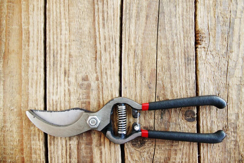 Large metal shears stock image. Image of concepts, formal - 39751723