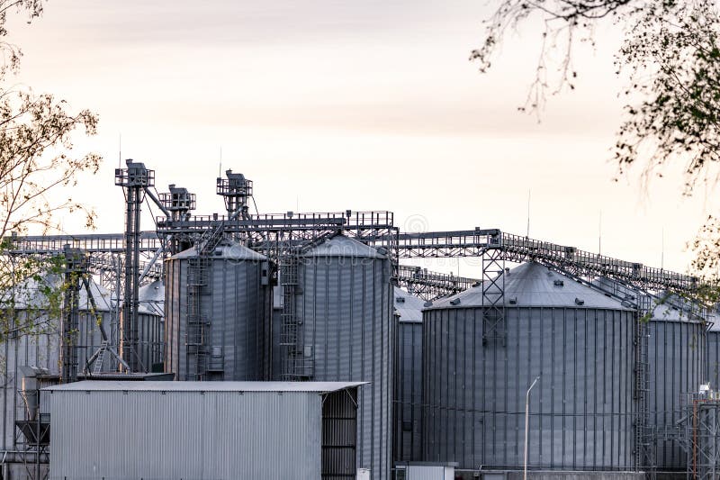 Large Metallic Storage Tanks and Silos are Situated within an ...