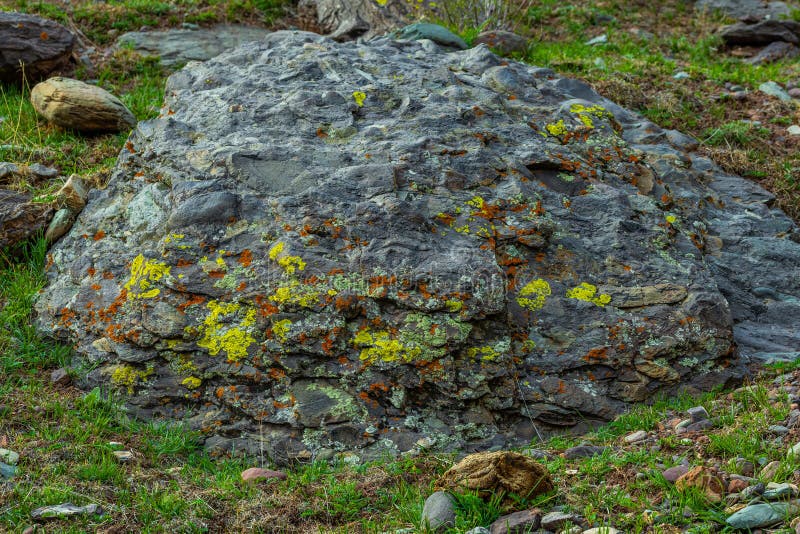 Large Metamorphic Rock Covered in Yellow and Orange Lichen in Nature ...
