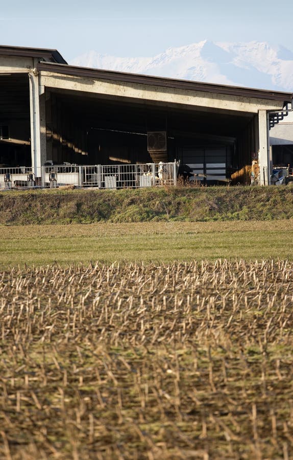 Modern stable stock image. Image of farm, horses, green - 9435209