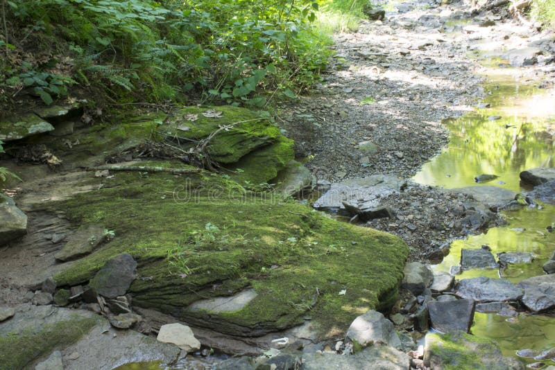 Large Moss Covered Rock in a Creek Stock Photo - Image of stream ...