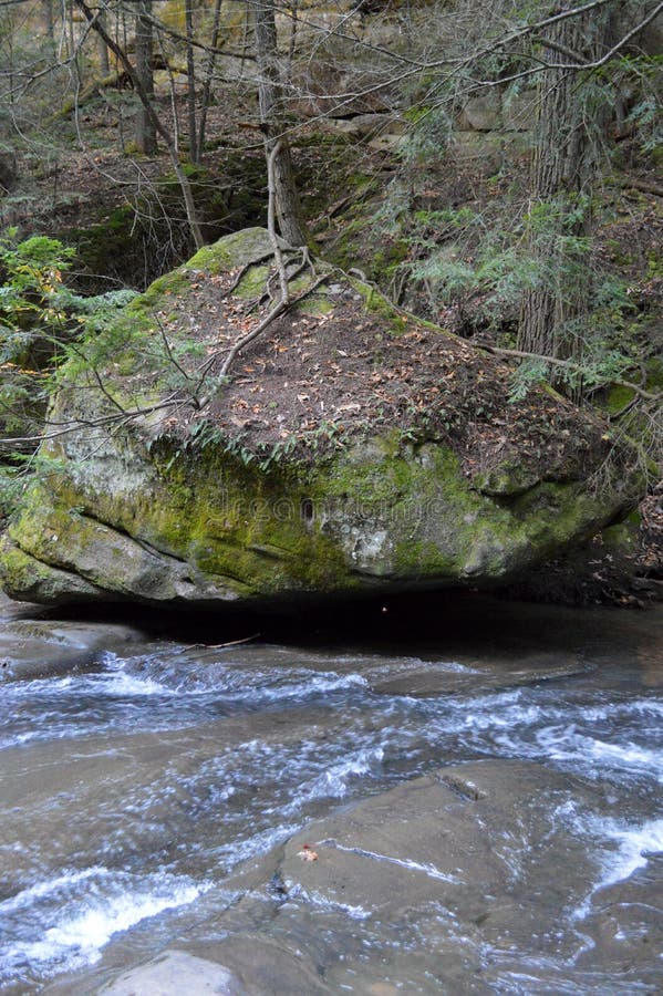 Large Mossy Boulder with a Tree Growing Out of it Stock Photo - Image ...