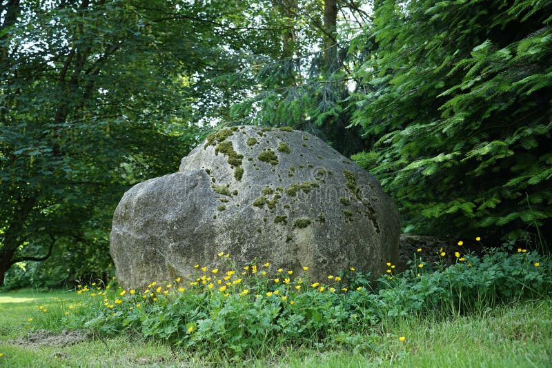 Large Mossy Rock in a Forest in Daylight Stock Photo - Image of forest ...