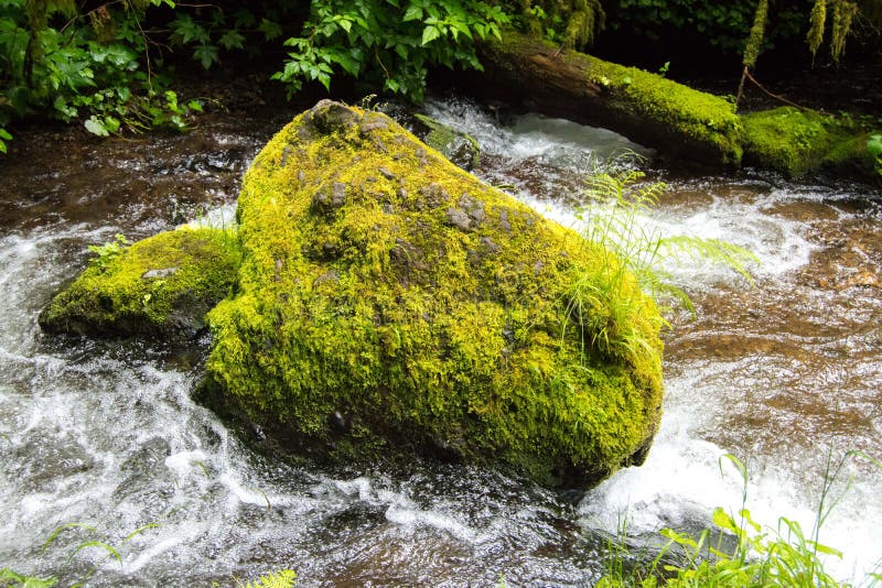 Large Mossy Rock Setting in the Brook Stock Image - Image of peat ...