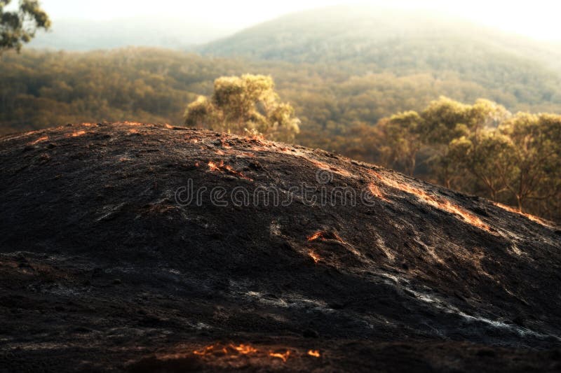 A Large Mound of Dirt with Trees in the Background, Suitable for Use in ...