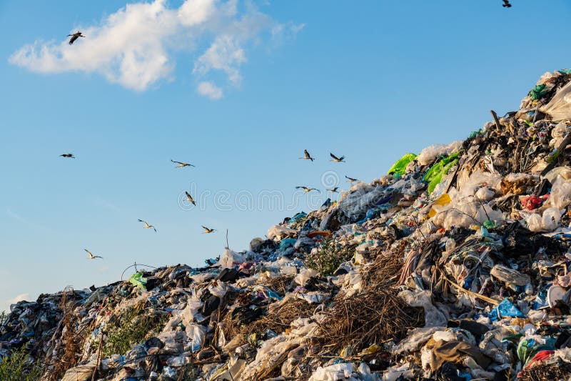 A Large Mound of Trash Dominates the Landscape, with Various Types of ...
