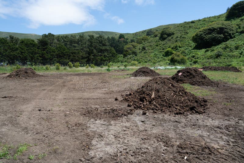Large Mounds of Manure and Compost Preparing for Use on Crops in Field ...
