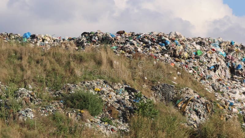 Landfill Garbage pan stock footage. Video of 2021, landfill - 242301758