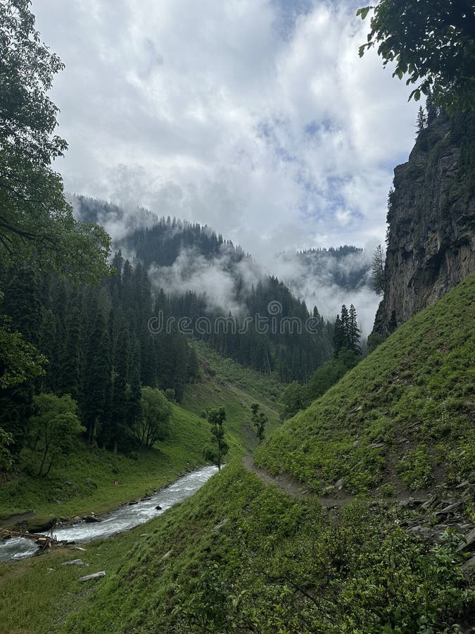 A Large Mountain with Tall Trees on Top and a Stream of Water Passing ...