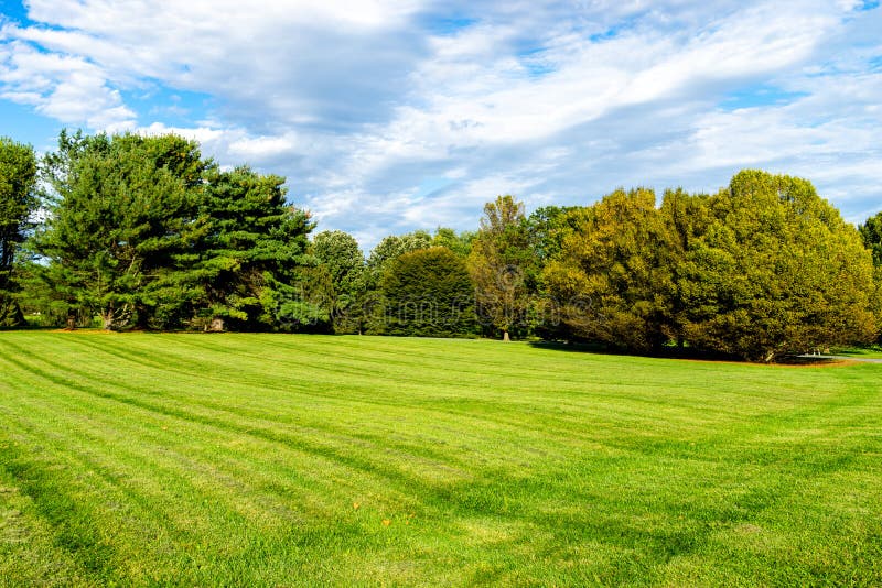 Large mowed grass area stock photo. Image of tree, picturesque - 201356850