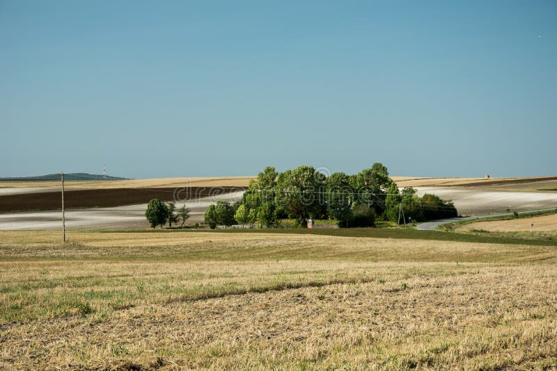 Large Mowed and Plowed Fields, Trees and Clear Sky Stock Image - Image ...
