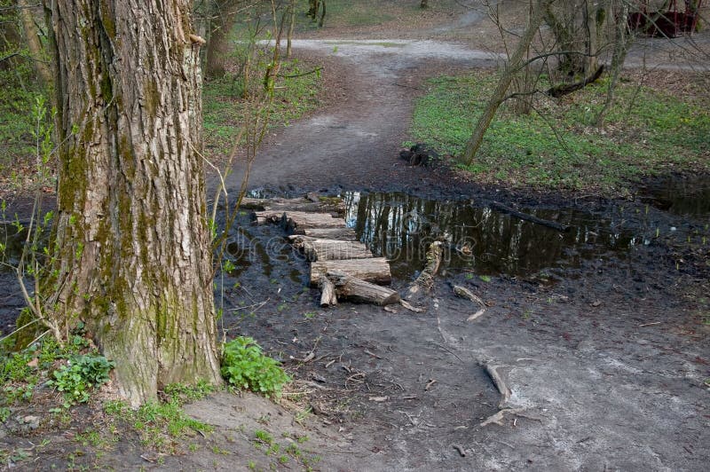 Large Muddy Puddle Covers a Forest Path in Spring. Several Logs Lie ...