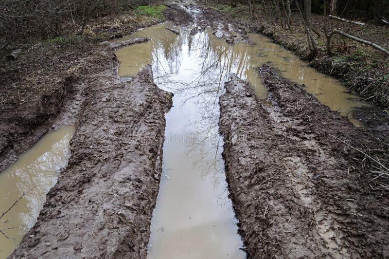 Large Muddy Puddles on a Dirt Road Stock Image - Image of dirty, forest ...