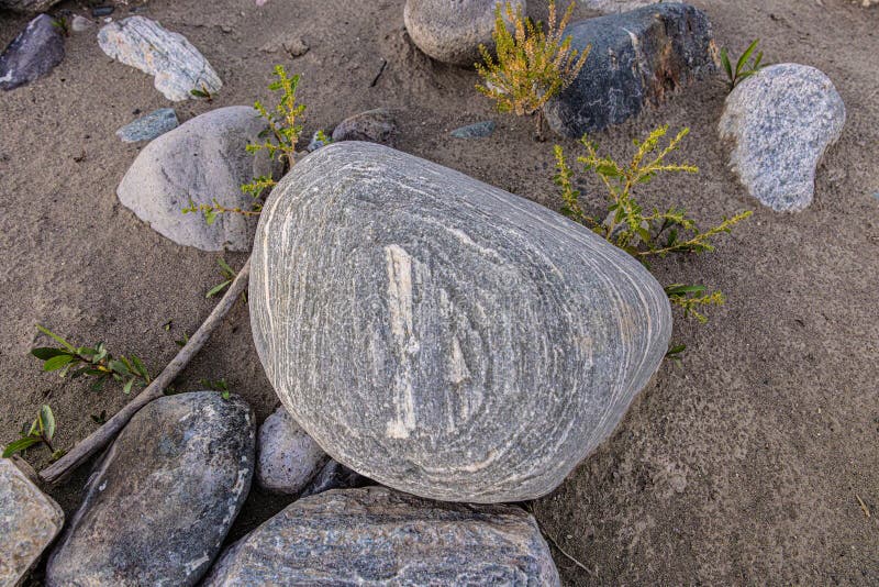 Large Multi Colored River Rocks and Beach Grass on the Sandy Shoreline ...