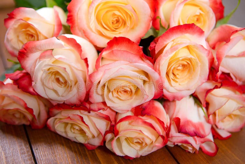 Large Multi-colored Roses on a Wooden Background Stock Image - Image of ...