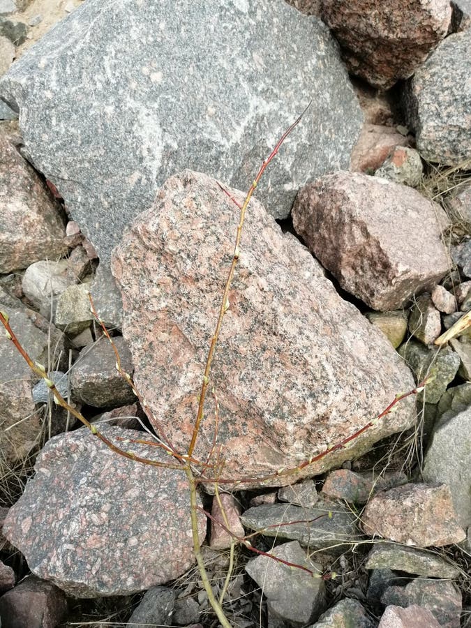 Large multi-colored stones stock photo. Image of architecture - 145597020