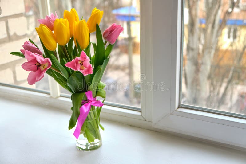 Large Multicolored Tulips on a White Window Stock Photo - Image of ...