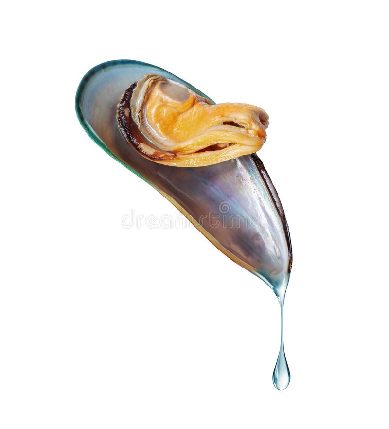 Large Mussel in a Shell with a Drop of Water on a White Background ...