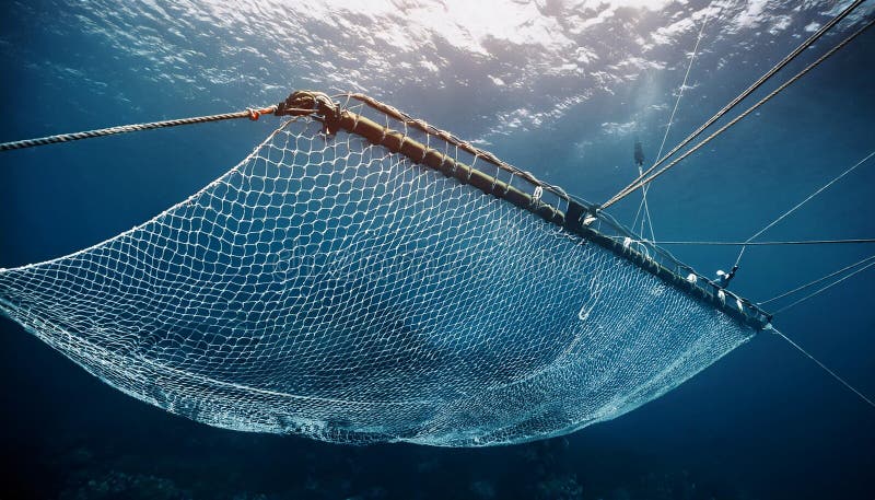 A Large Net is Floating in the Ocean Stock Illustration - Illustration ...