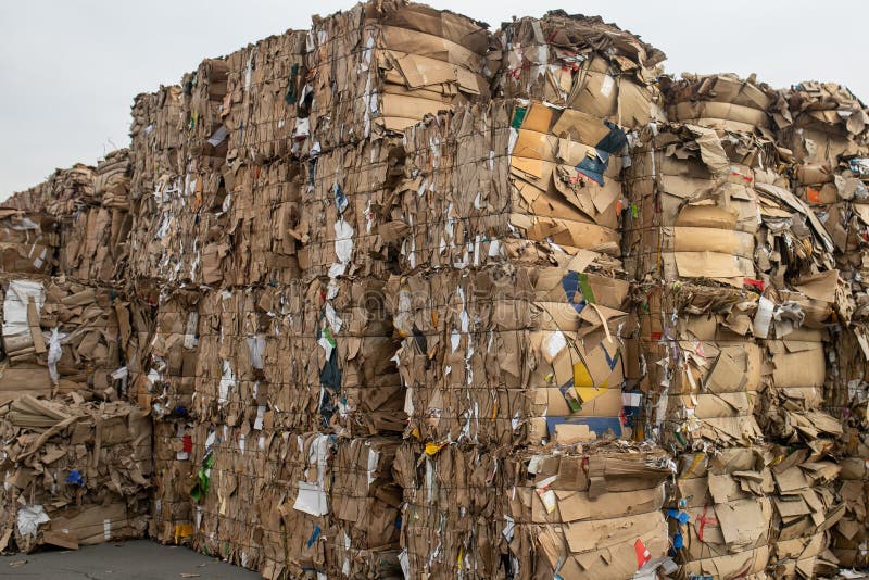 A Large Number of Boxes with Finely Cut Paper of Different Colors for ...