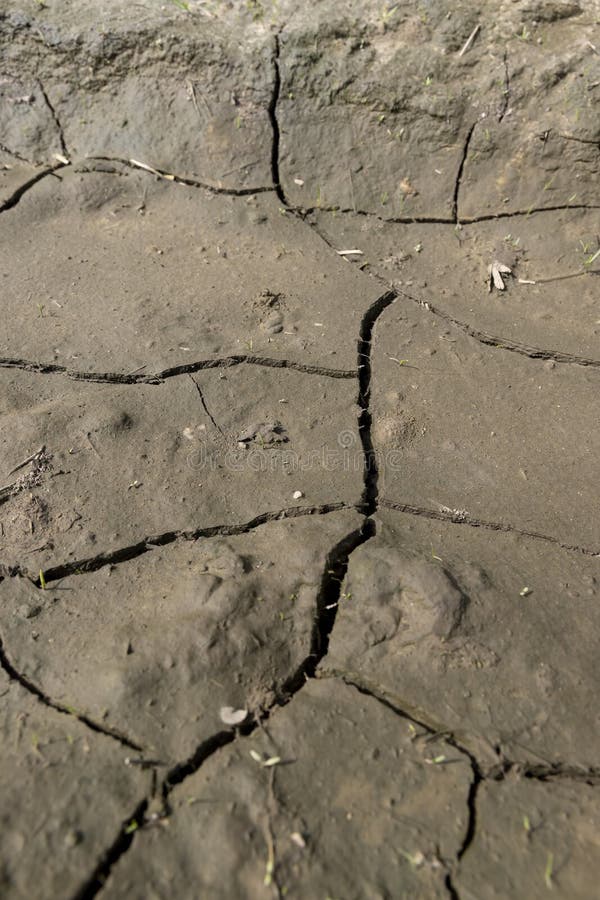 A Large Number of Cracks in the Soil during Moisture Drying Stock Photo ...