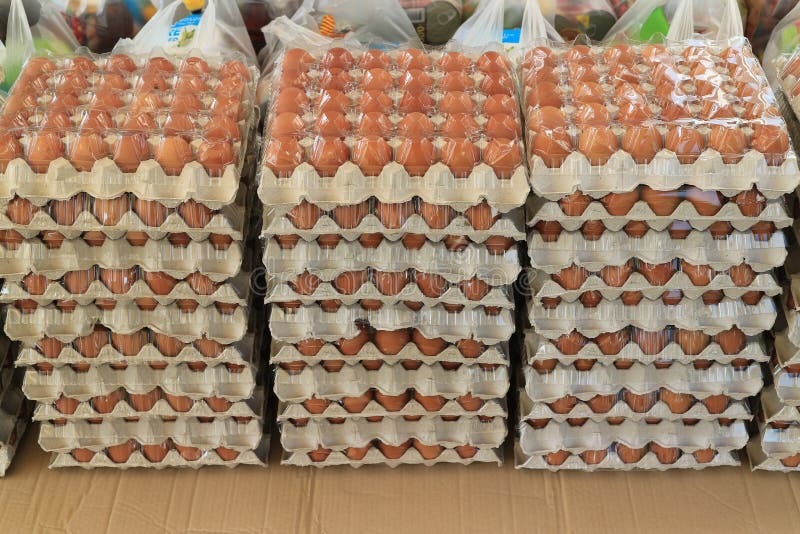 A Large Number of Fresh Eggs are Laid Out in a Tray for Sale. Stock ...