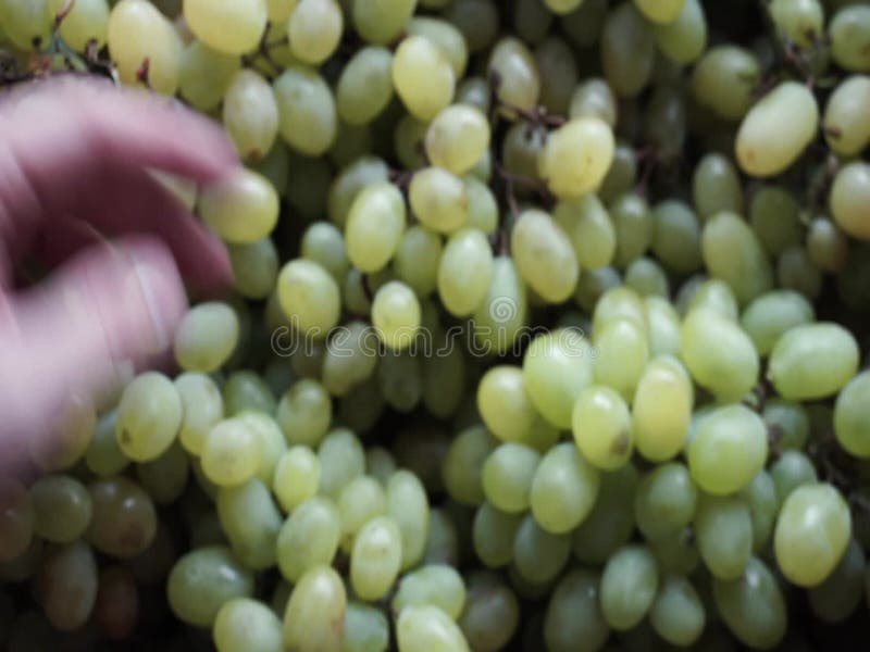 A Large Number of Grapes in One Pile Stock Footage - Video of ...