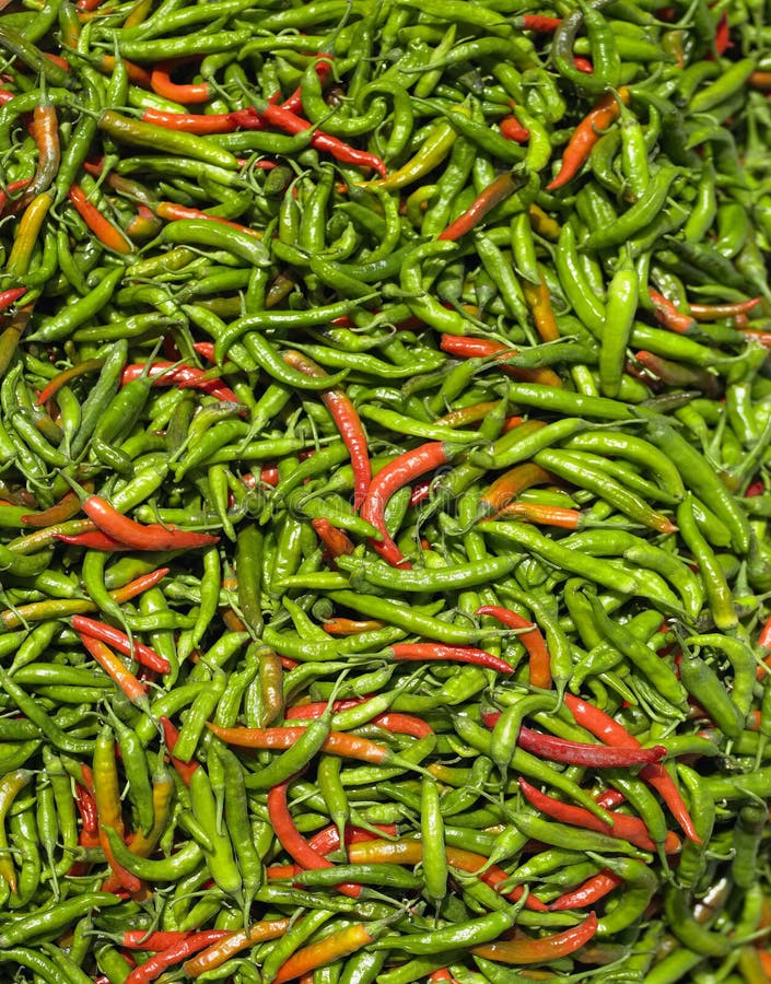 A Large Number of Hot Chili Peppers Stock Image - Image of peppers ...