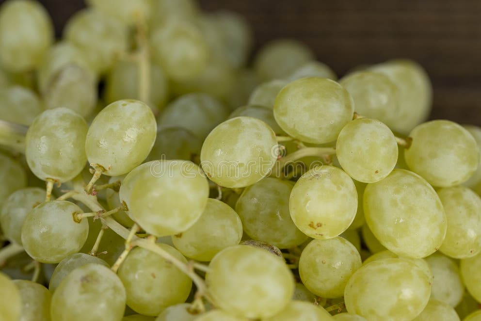 A Large Number of Ripe Green Grapes are on the Table Stock Image ...