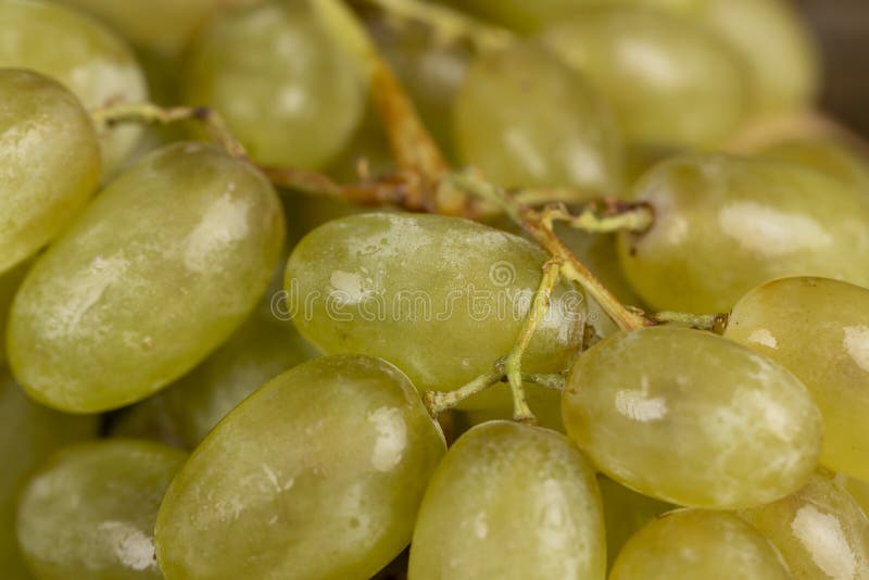 A Large Number of Ripe Green Grapes are on the Table Stock Photo ...