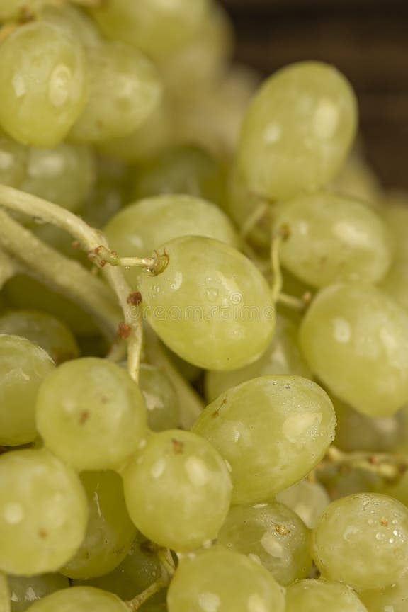 A Large Number of Ripe Green Grapes are on the Table Stock Photo ...