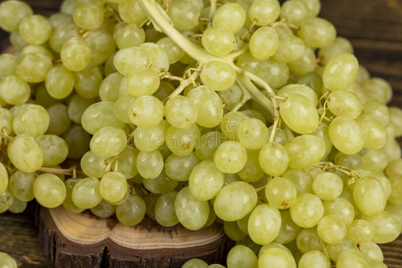 A Large Number of Tulips of Different Colors Lies on the Table in the ...